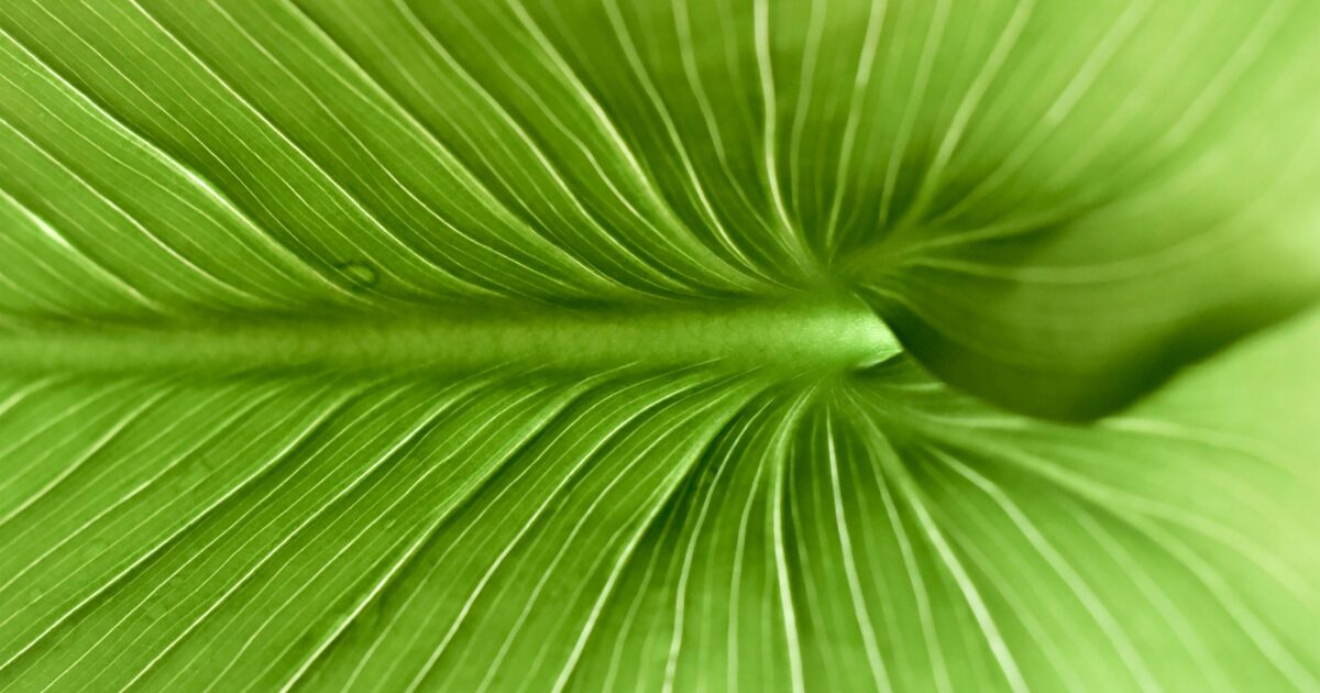 EU Taxonomy: The first 2 environmental objectives | Envoria